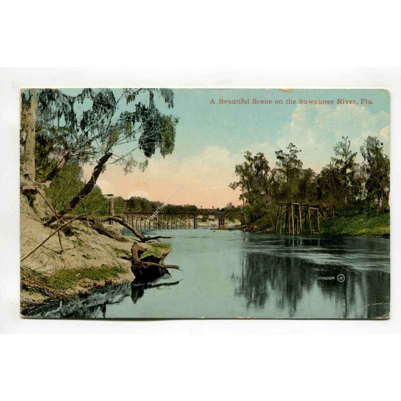 A Beautiful Scene on the Suwannee River Florida postcard