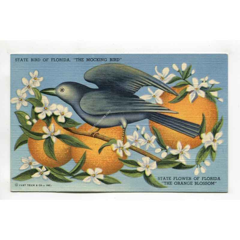 State Bird of Florida Mocking Bird State Flower of Florida ...