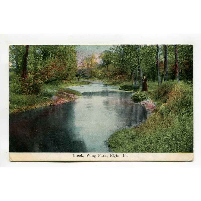 Creek Wing Park Elgin Illinois postcard