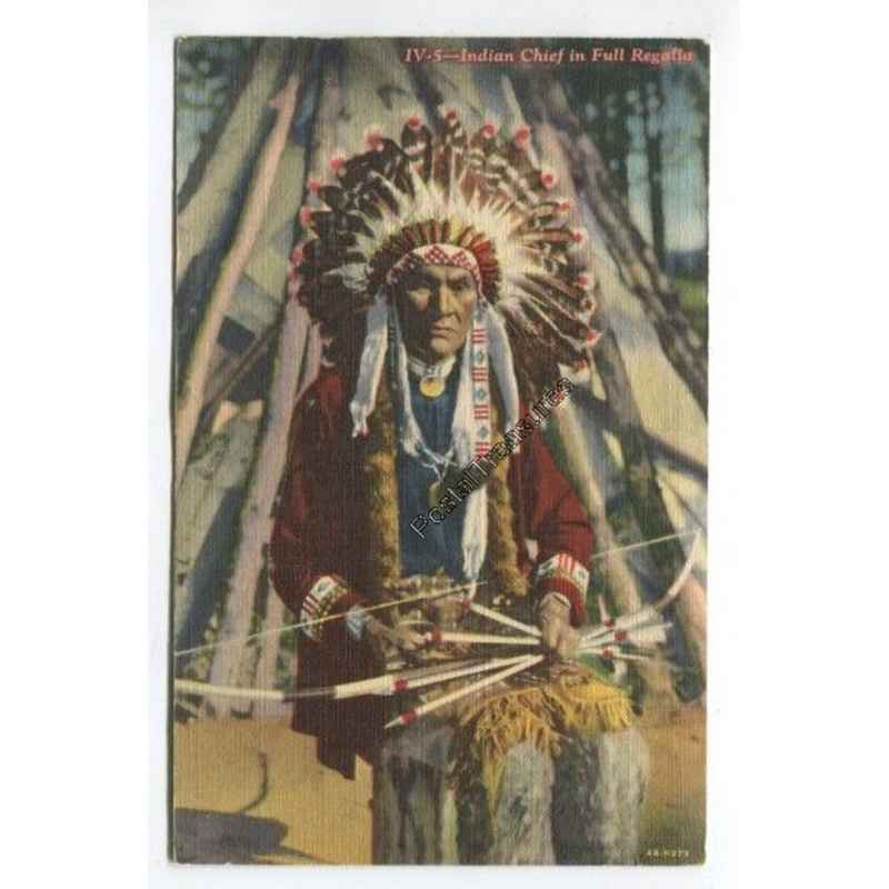 Indian Chief in Full Regalia vintage postcard