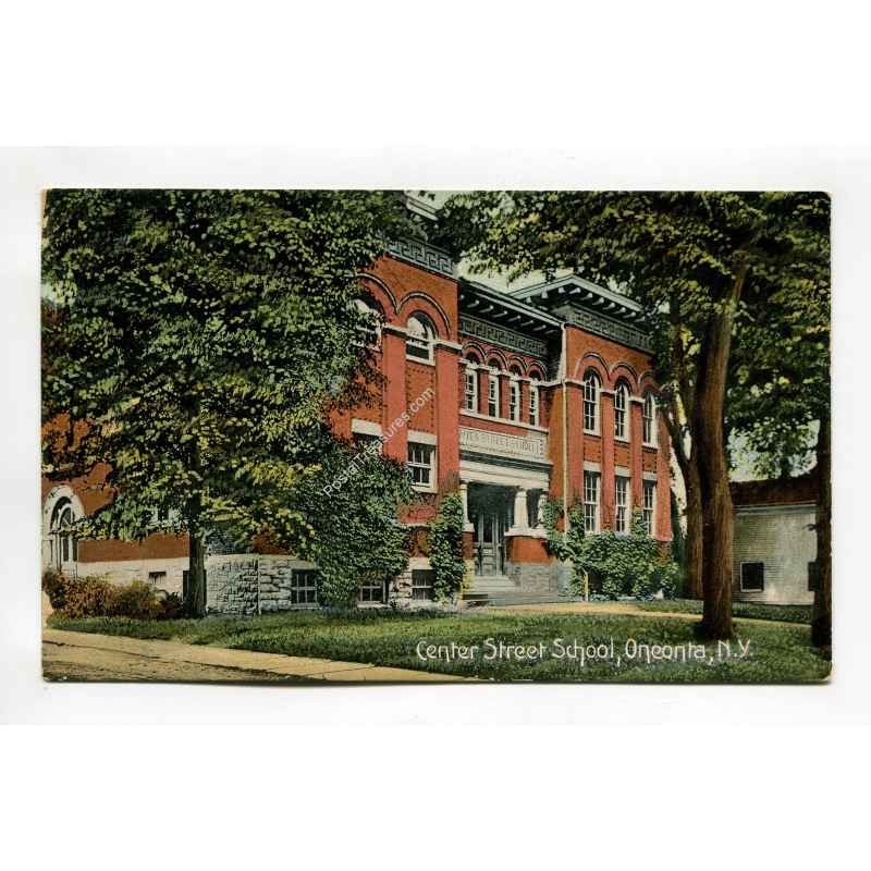 Center Street School Oneonta New York vintage postcard